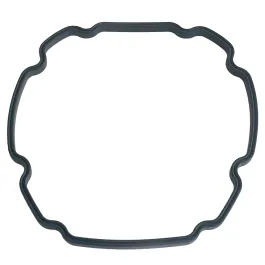 Plastica iFlo Pump Volute Gasket